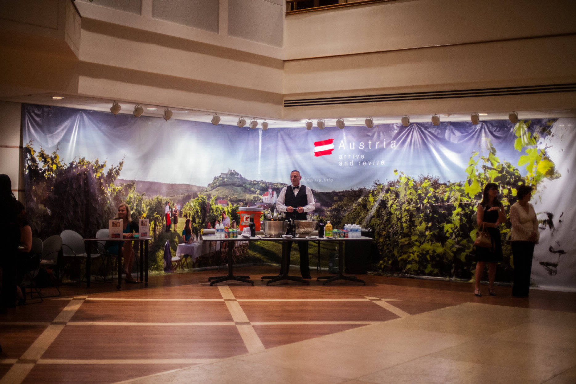 Austrain Embassy Viennese Waltz Lessons: An Evening of Viennese Waltz ...