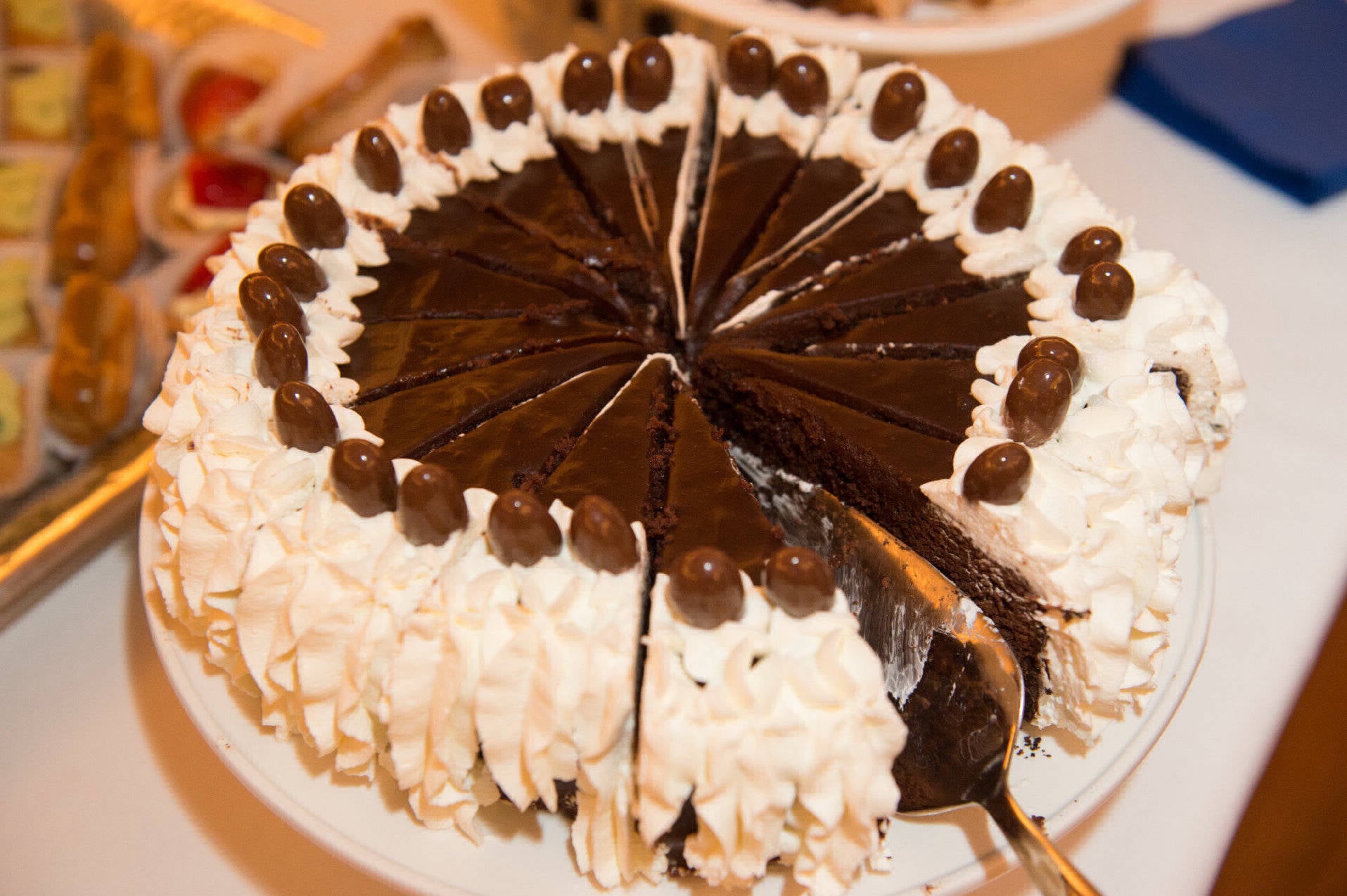 16th Annual Viennese Ball: A Night in Vienna at the Embassy of Austria